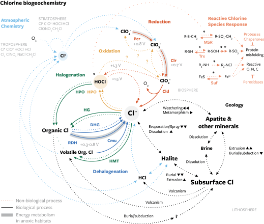 Publications on the Chlorine Cycle – Tyler Barnum